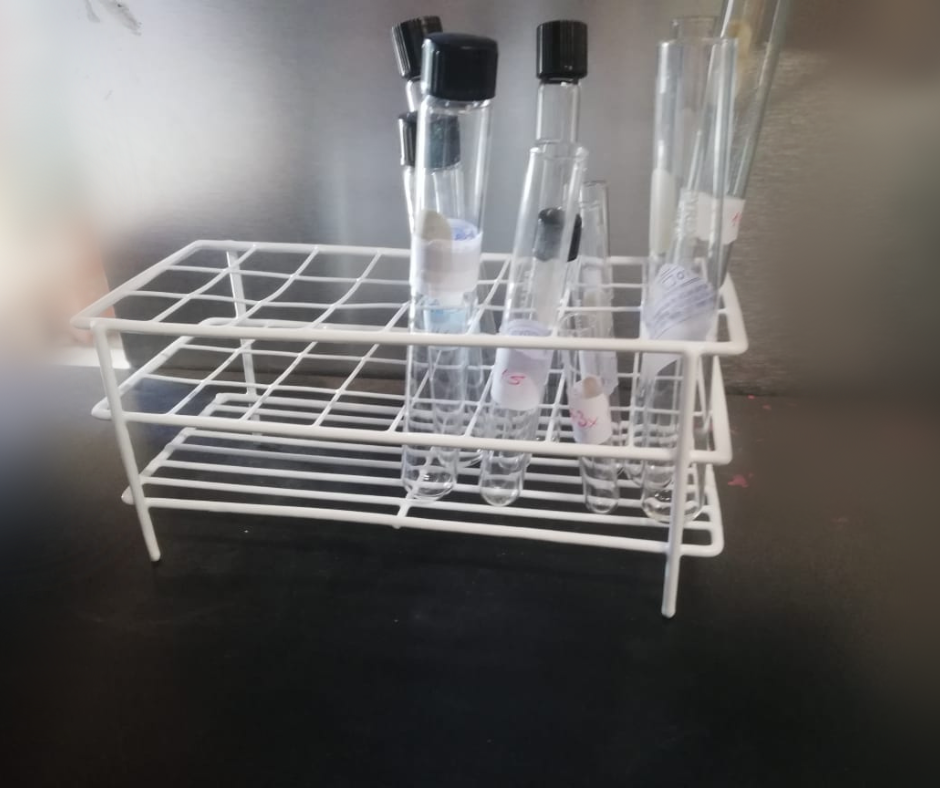 Gradilla Forrada Para 24 Tubos 16 MM – JBR New Style